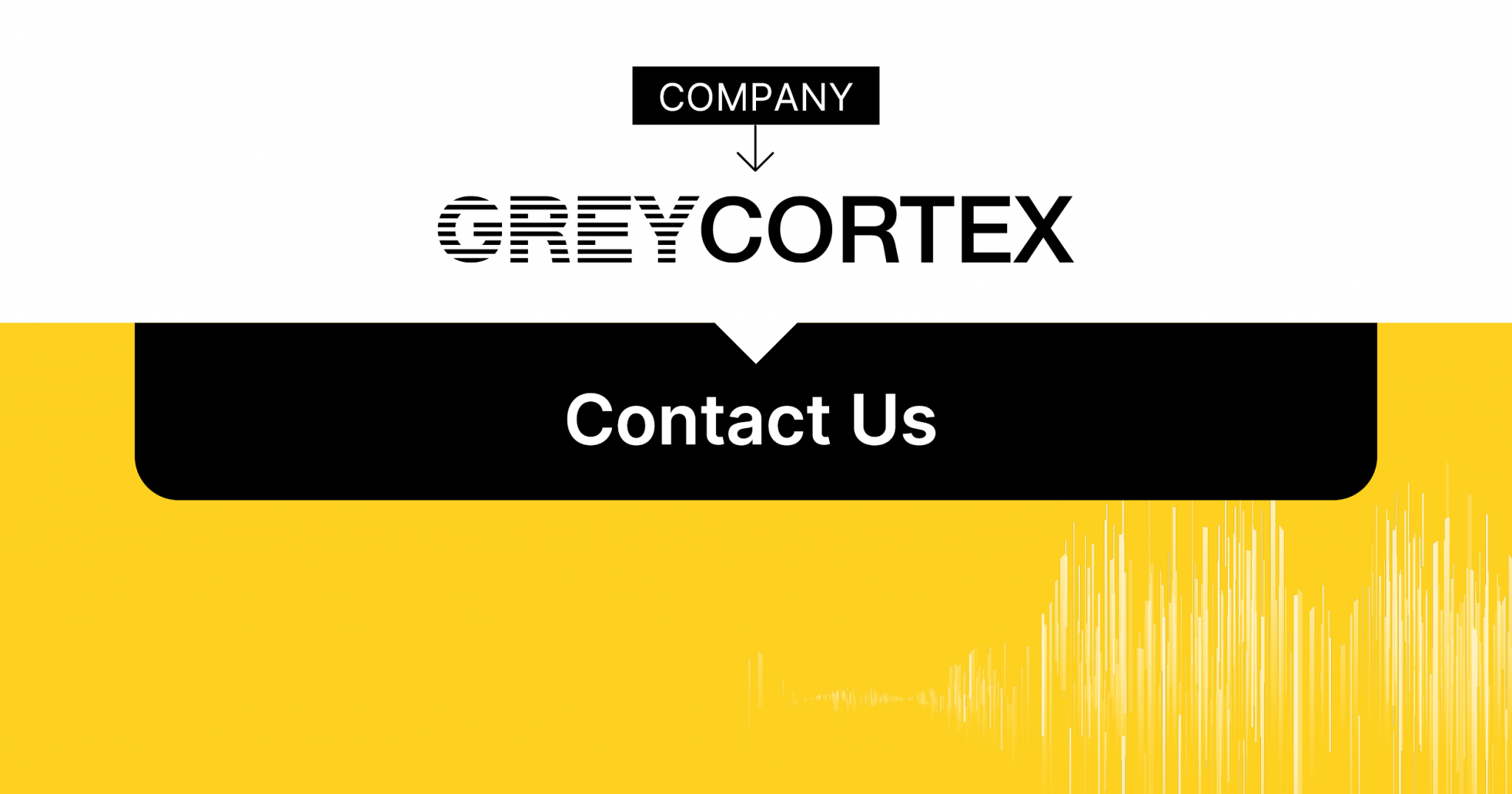 Contacts | GREYCORTEX