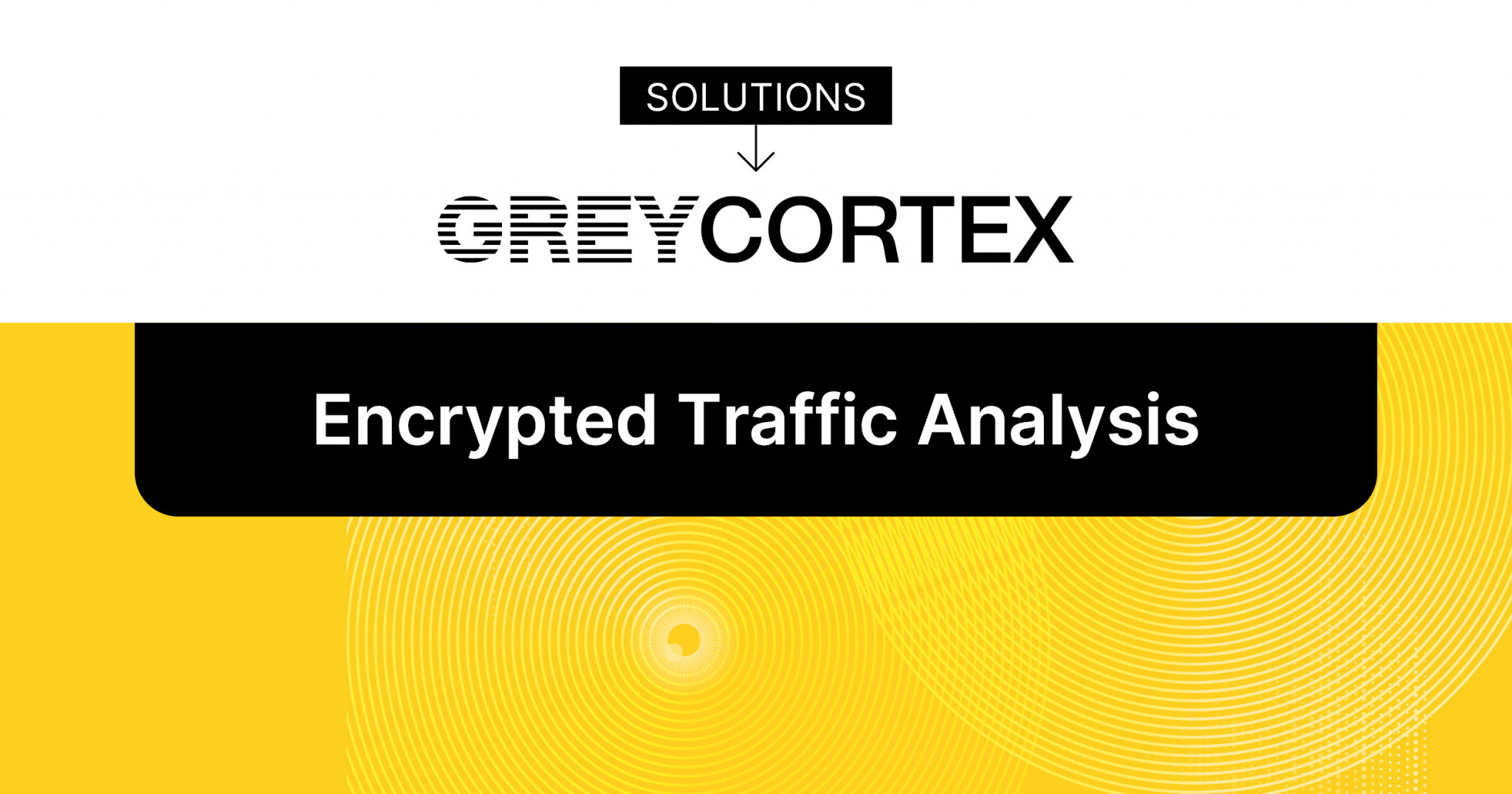 Encrypted Traffic Analysis | GREYCORTEX - Solutions