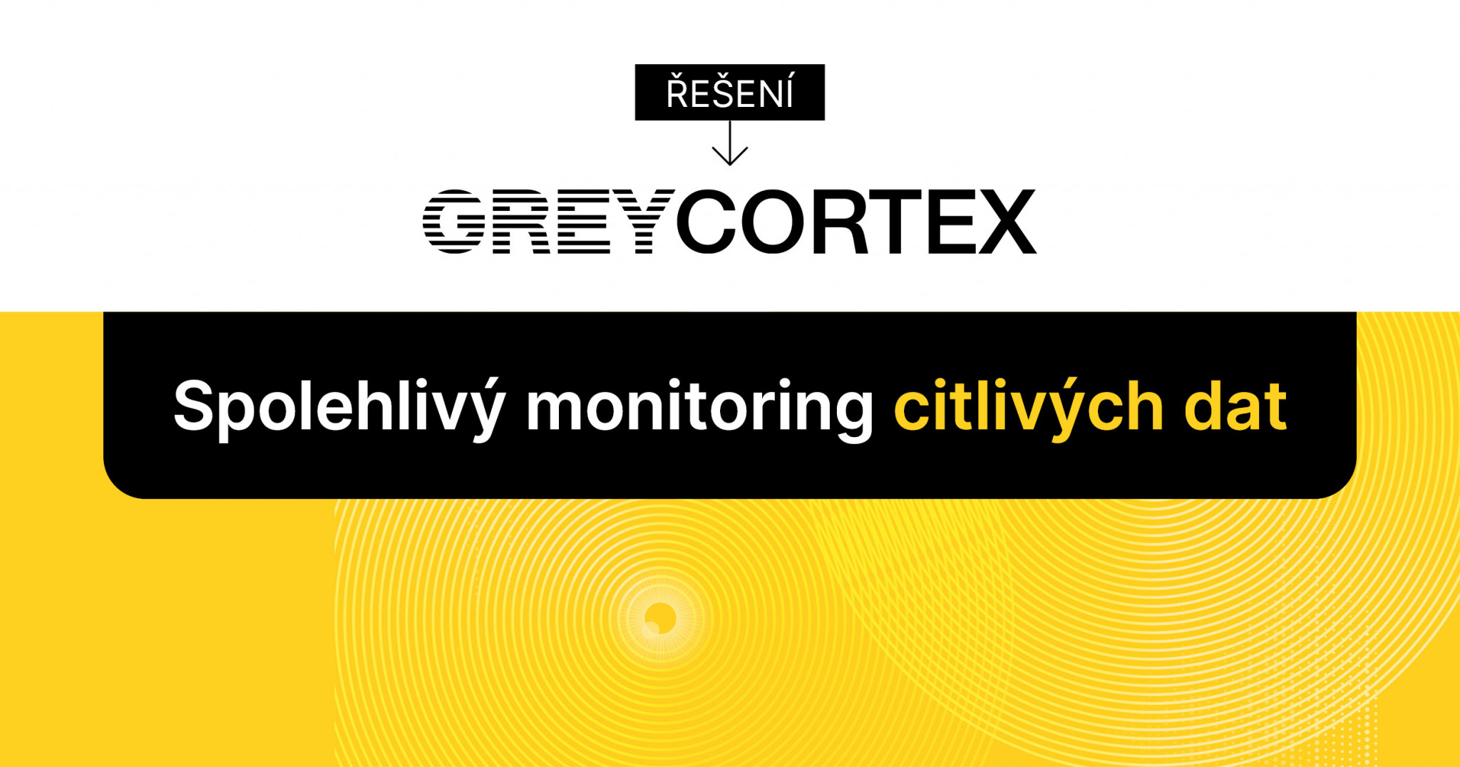 Monitoring citlivých dat | GREYCORTEX - Řešení