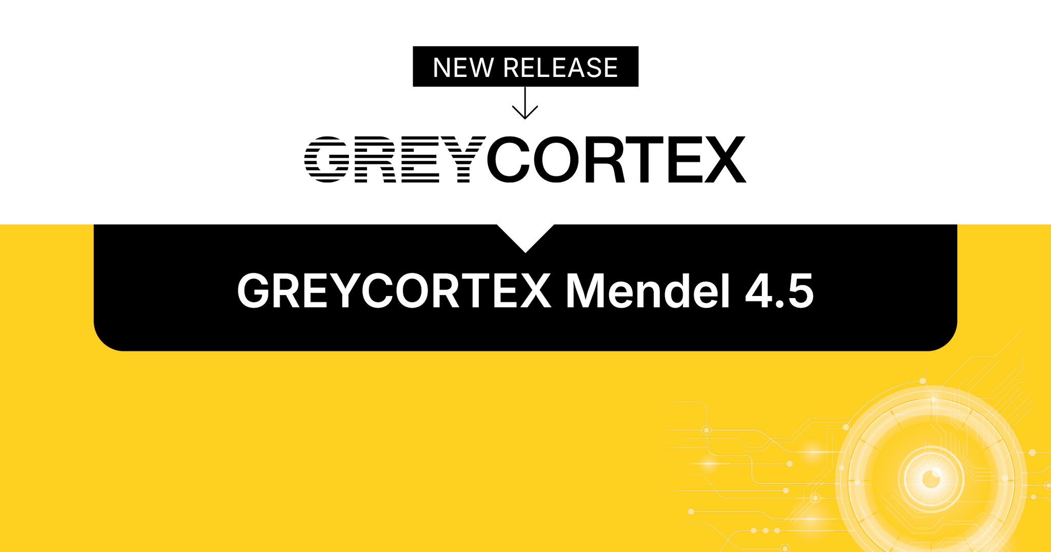 GREYCORTEX Mendel 4.5 | GREYCORTEX - Blog